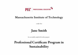 Professional Certificate Program in Sustainability: Strategy for ...