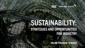 Online Course Sustainability: Strategies and Opportunities for Industry ...